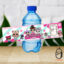 LOL Surprise Birthday Bottle Labels